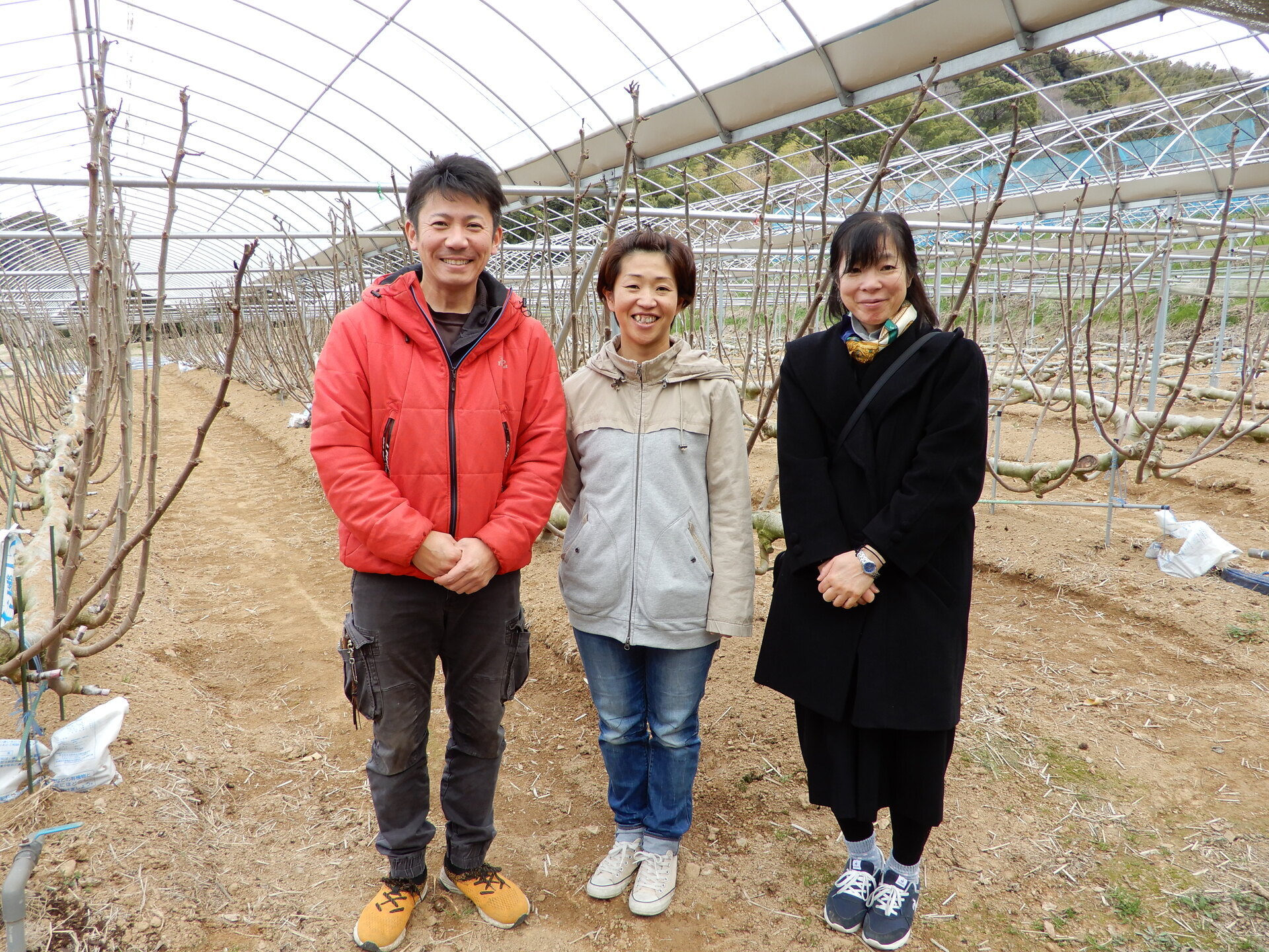 2/18、愛知県西尾市の「愛楽農園はいぼーなす」のいちじく畑を見学しました！: 茂木正光の戦略研と行政書士・司法書士な日々